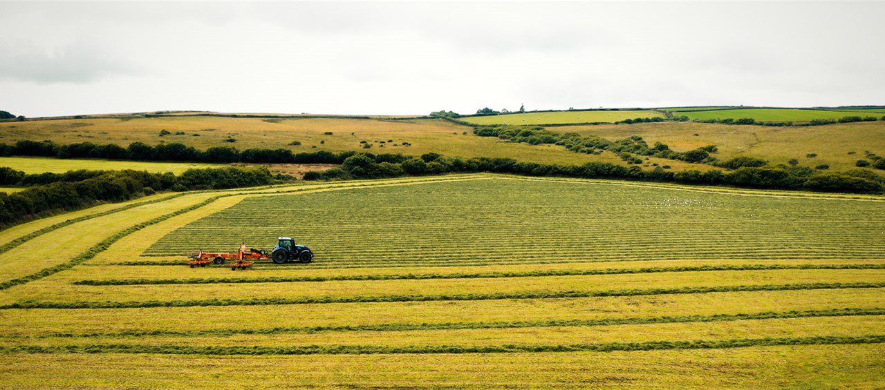 The Autumn 2024 Budget: Inheritance Tax and Family Farms - Westcotts ... The Autumn 2024 Budget: Inheritance Tax and Family Farms - Westcotts ...