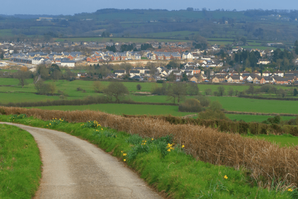 Tom Stuckey FCCA - Westcotts