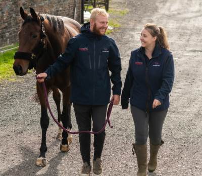 Rathkenny Stud - Westcotts Chartered Accountants & Business Advisers