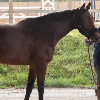 Success Stories Archives - Westcotts Chartered Accountants & Business Advisers